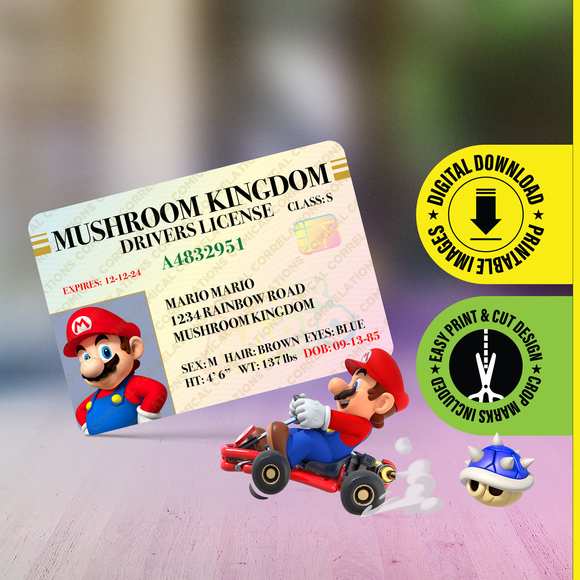 Printable PDF DOWNLOAD Super Mario Kart Mushroom Kingdom - Etsy UK