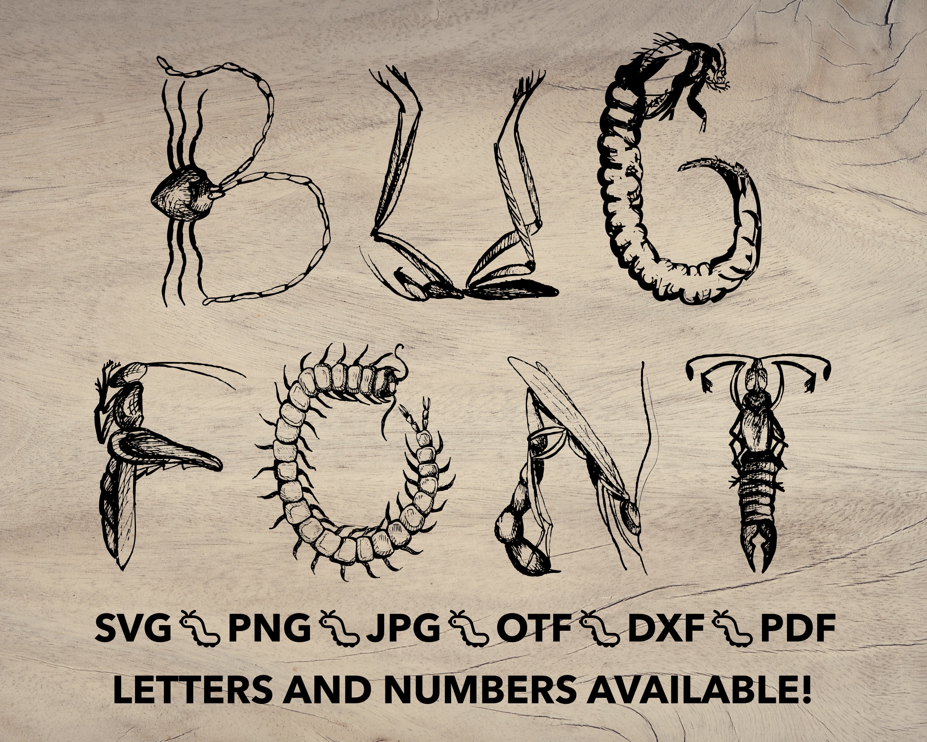 Bug Font Svg Insect Alphapack Bug Font For Cricut Svg Png Otf Dxf Pdf Bug Numbers Png 