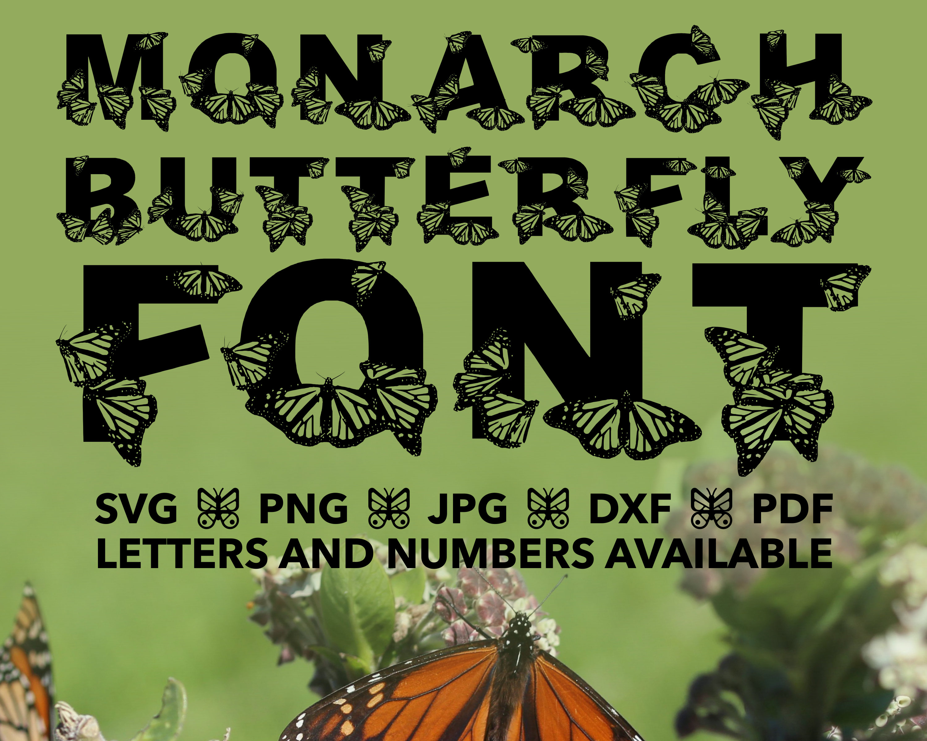 Monarch Butterfly Font SVG, Butterfly Font, Monarch Font, Modern Font ...