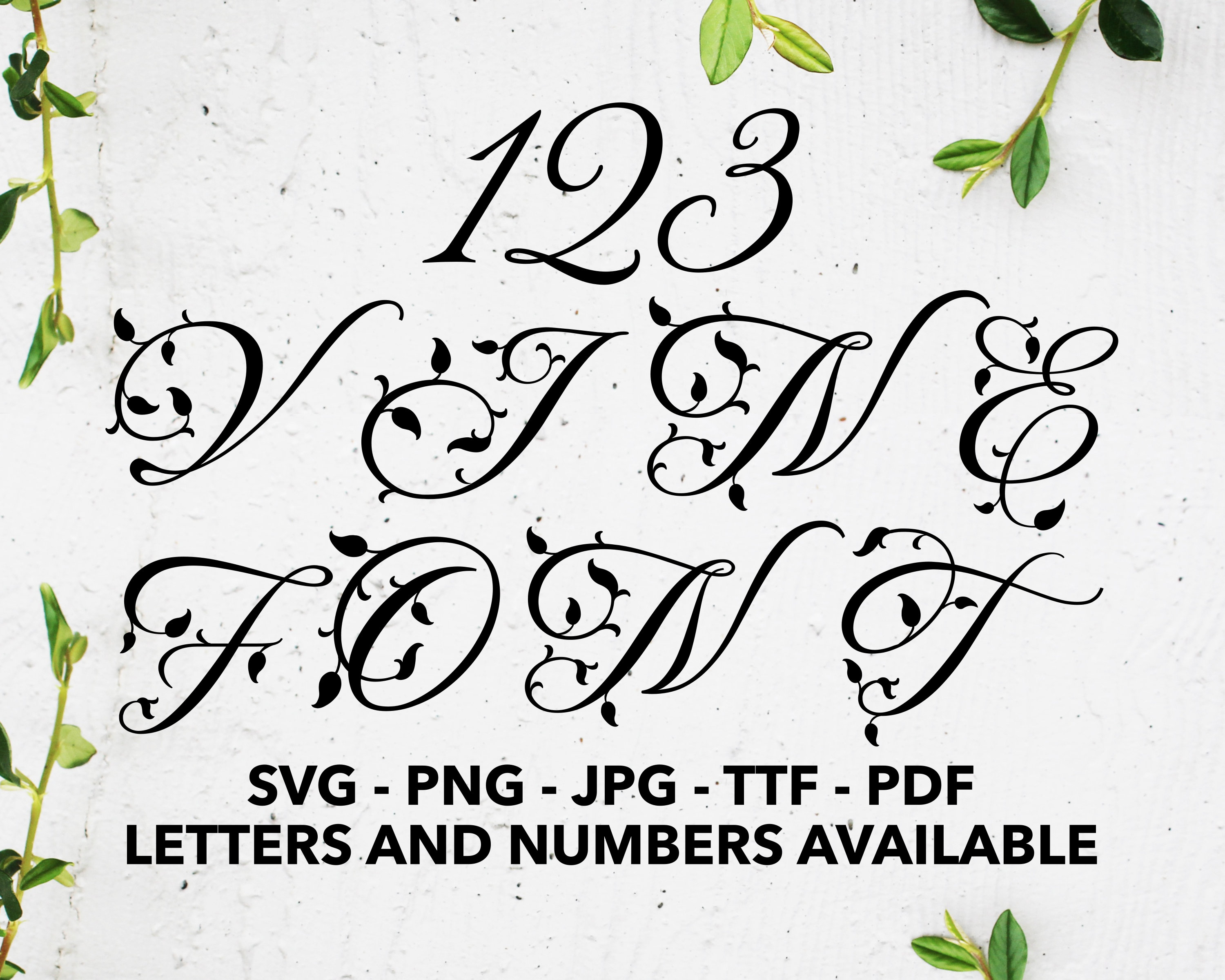 123 Vine Font SVG, Vine Font for Cricut, Vine Font SVG, PNG, Jpg, Ttf ...