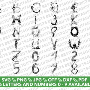 Bug Font SVG, Insect Alphapack, Bug Font for Cricut SVG, PNG, Jpg, Otf ...