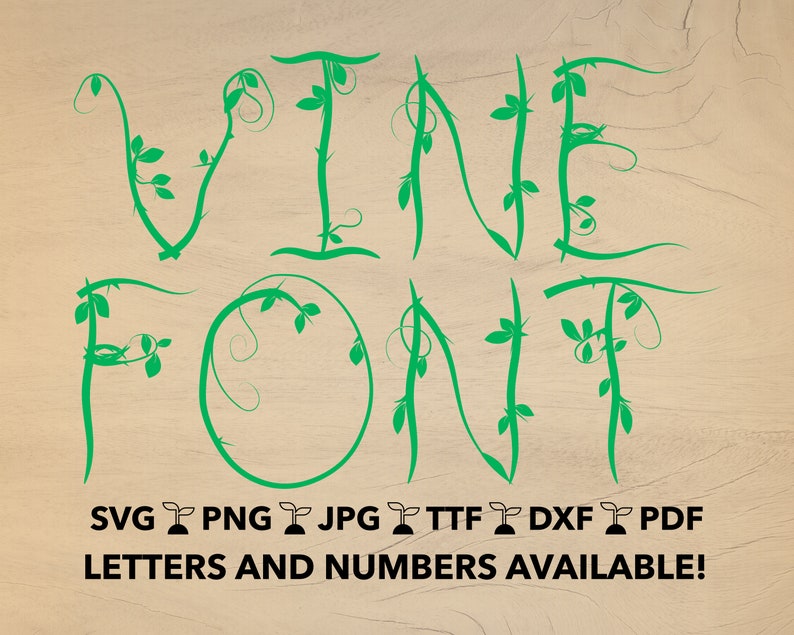 Vine Font SVG, Vine Font for Cricut, Vine Alphabet SVG, PNG, Jpg, Ttf ...
