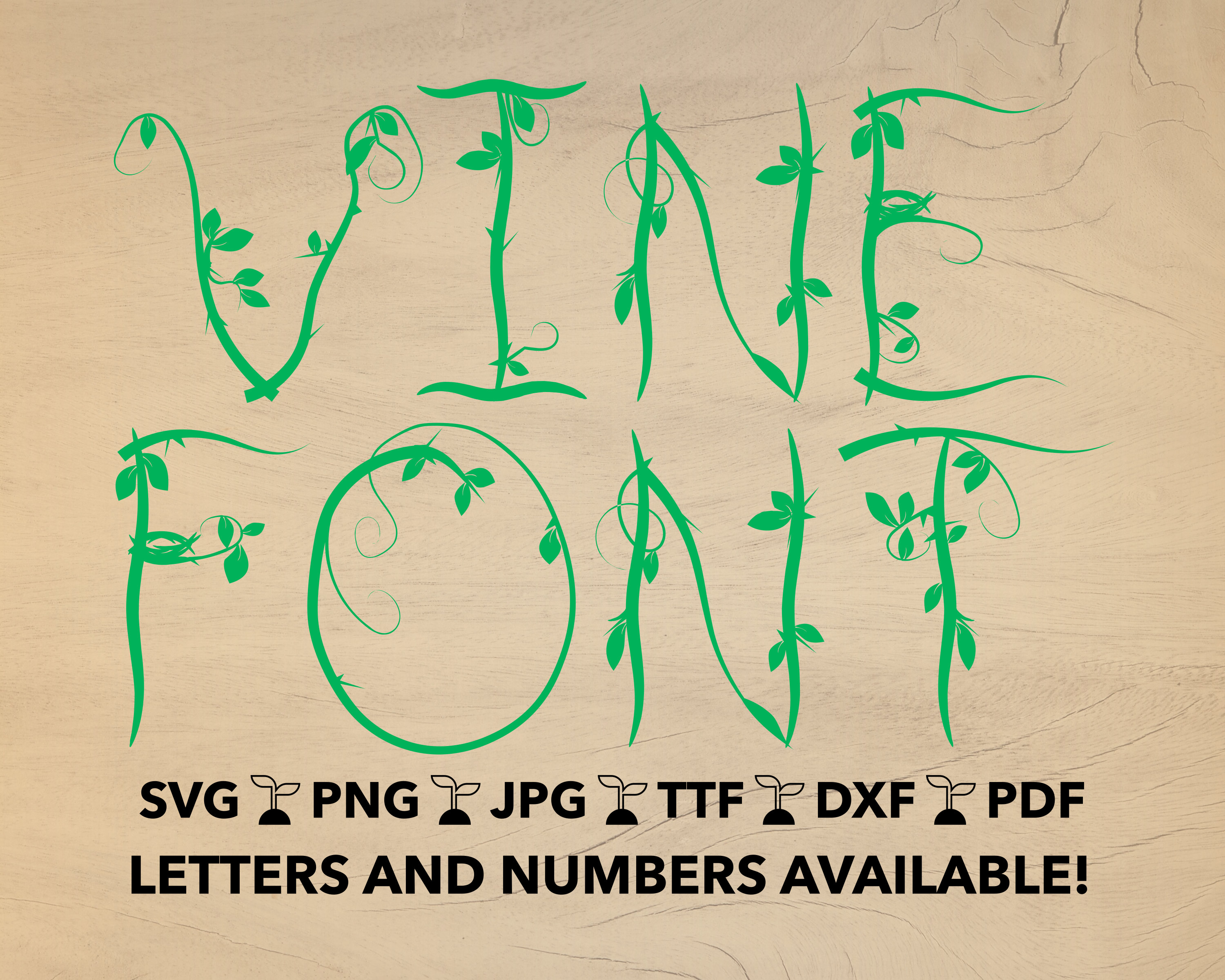 Vine Font SVG, Vine Font for Cricut, Vine Alphabet SVG, PNG, Jpg, Ttf ...
