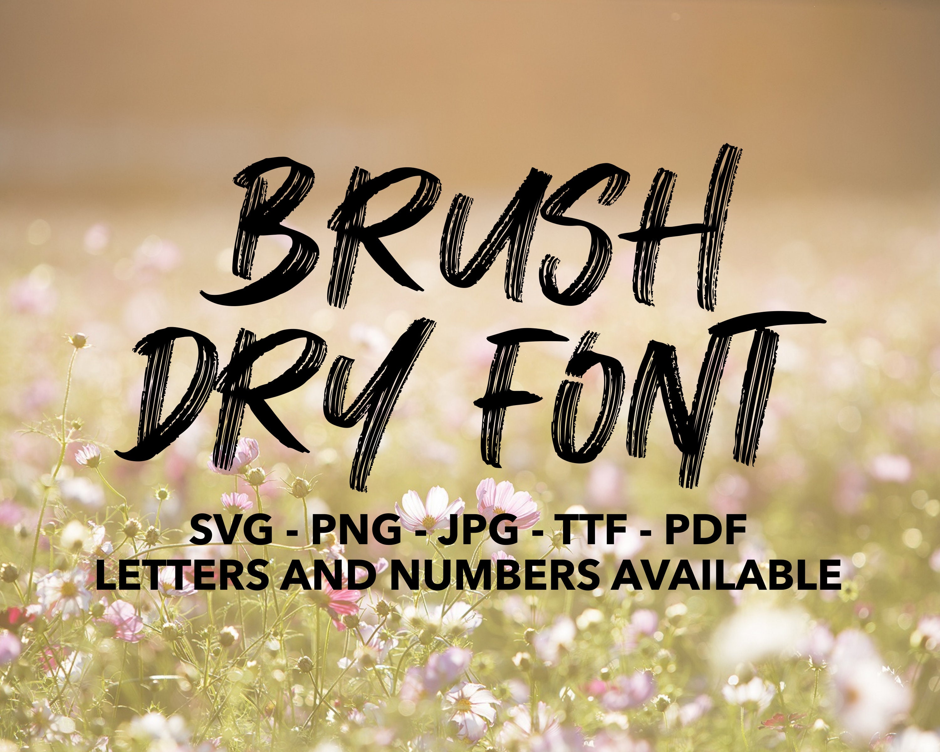 Brush Dry Font SVG, Brush Font for Cricut, Brush Font SVG, PNG, Jpg ...