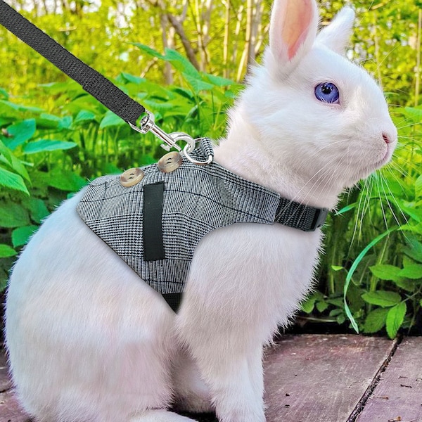 Rabbit Harness - Etsy