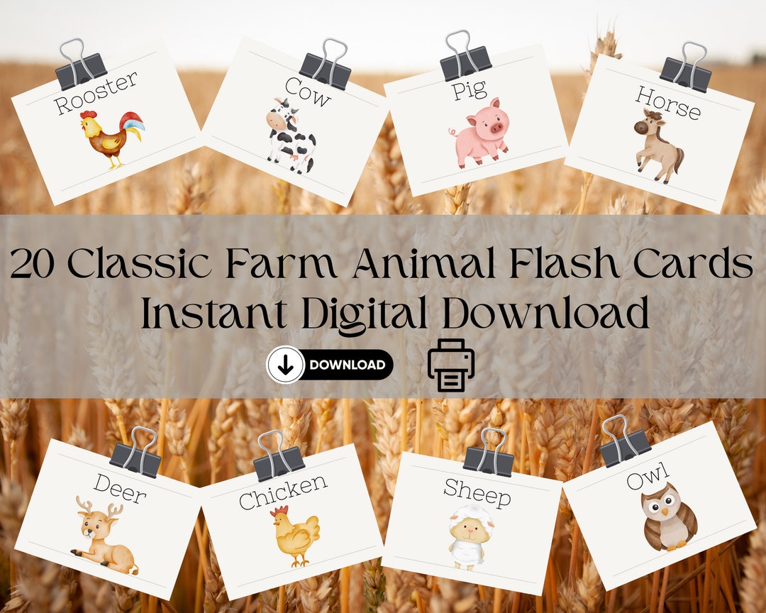 Children's Farm Animal Flash Cards - 20 Classic Farm Animals - Kids ...