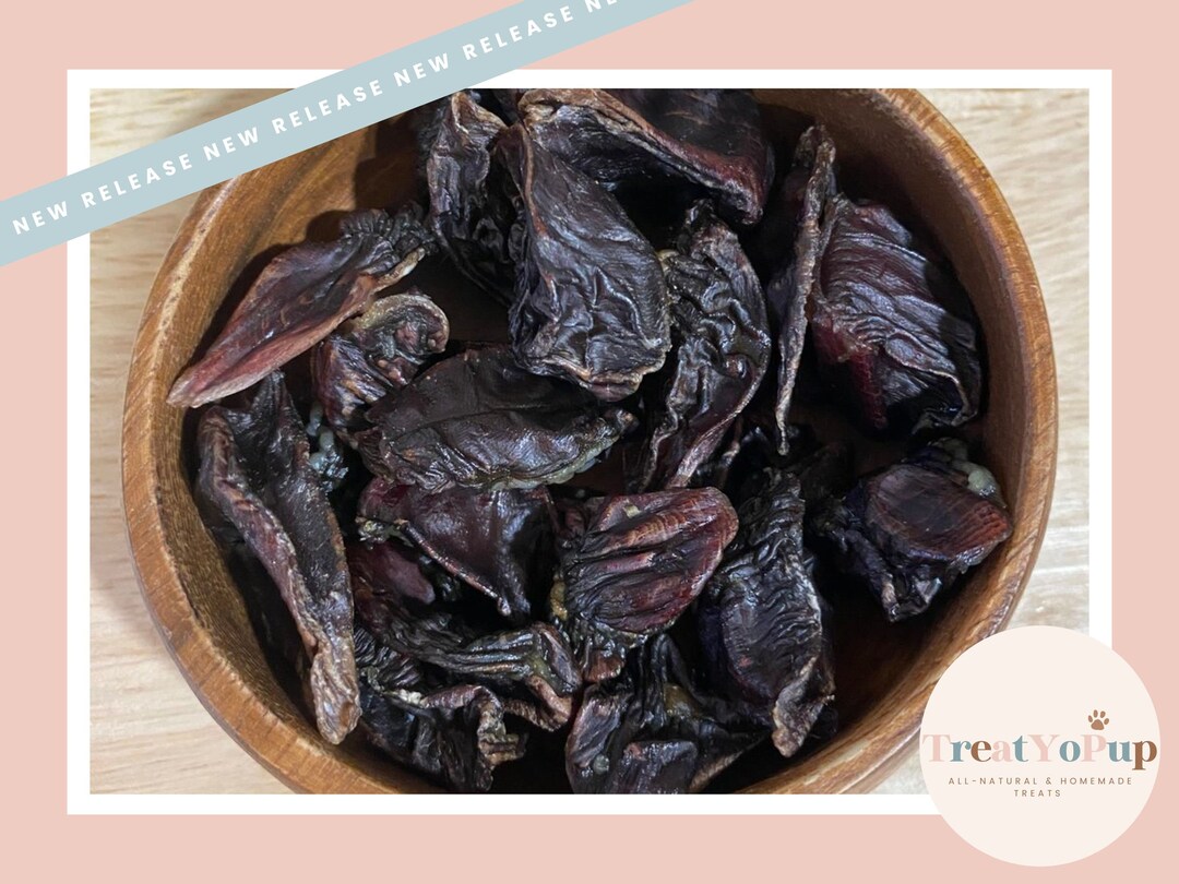Quack Quencher Bites | Duck Gizzard | Dog Treats | Dog Snacks - 2oz ...