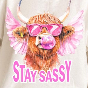 Stay Sassy Png, Highland Cow Png, Sassy Heifer, Heifer Png, Highland ...