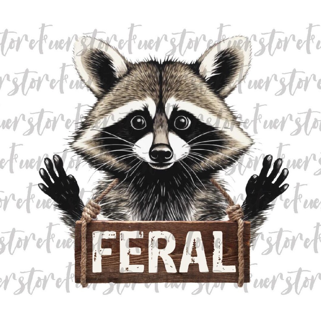 Feral PNG, Feral Raccoon Png, Funny Raccoon Png, Funny PNG, Sarcastic ...