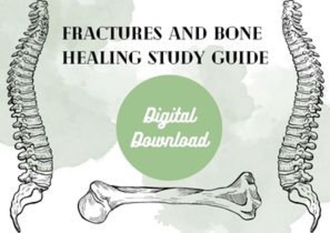 Fractures Study Guide and Revision for Nursing Students - Etsy