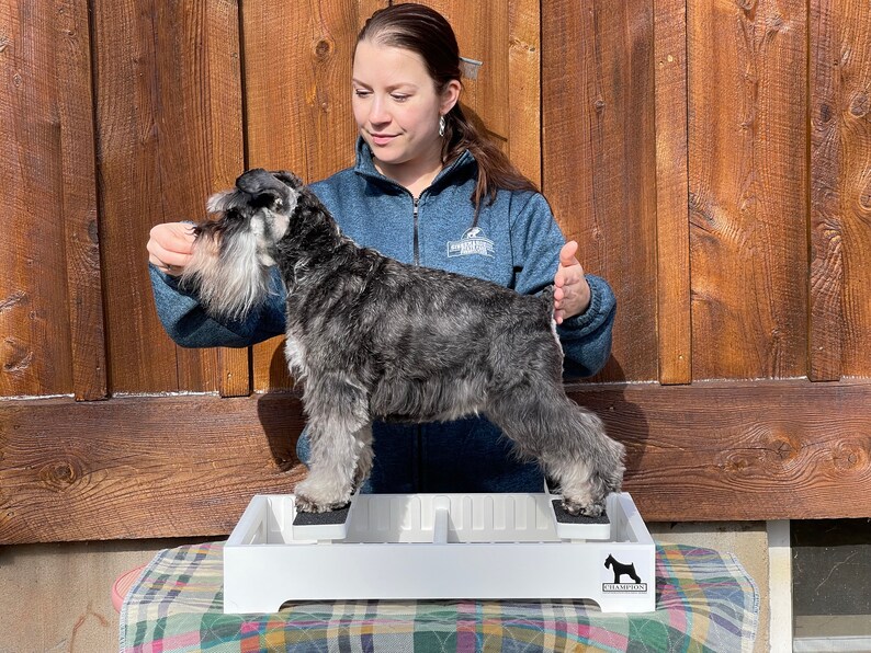 Champion Conformation Stacking Box - Etsy