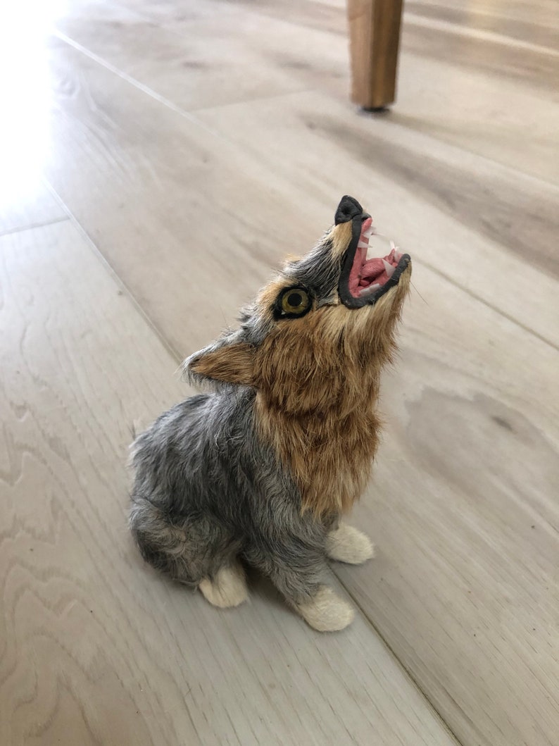 Six Inch Tall Wolf taxidermy With Adorably Menacing Face. - Etsy