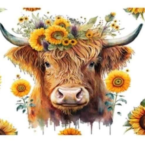 Highland Cow With Sunflower Decal - Etsy