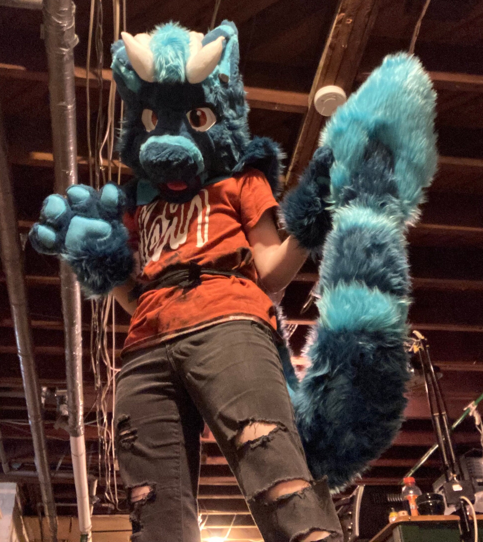 Gryphon FURSUIT Premade read Description - Etsy