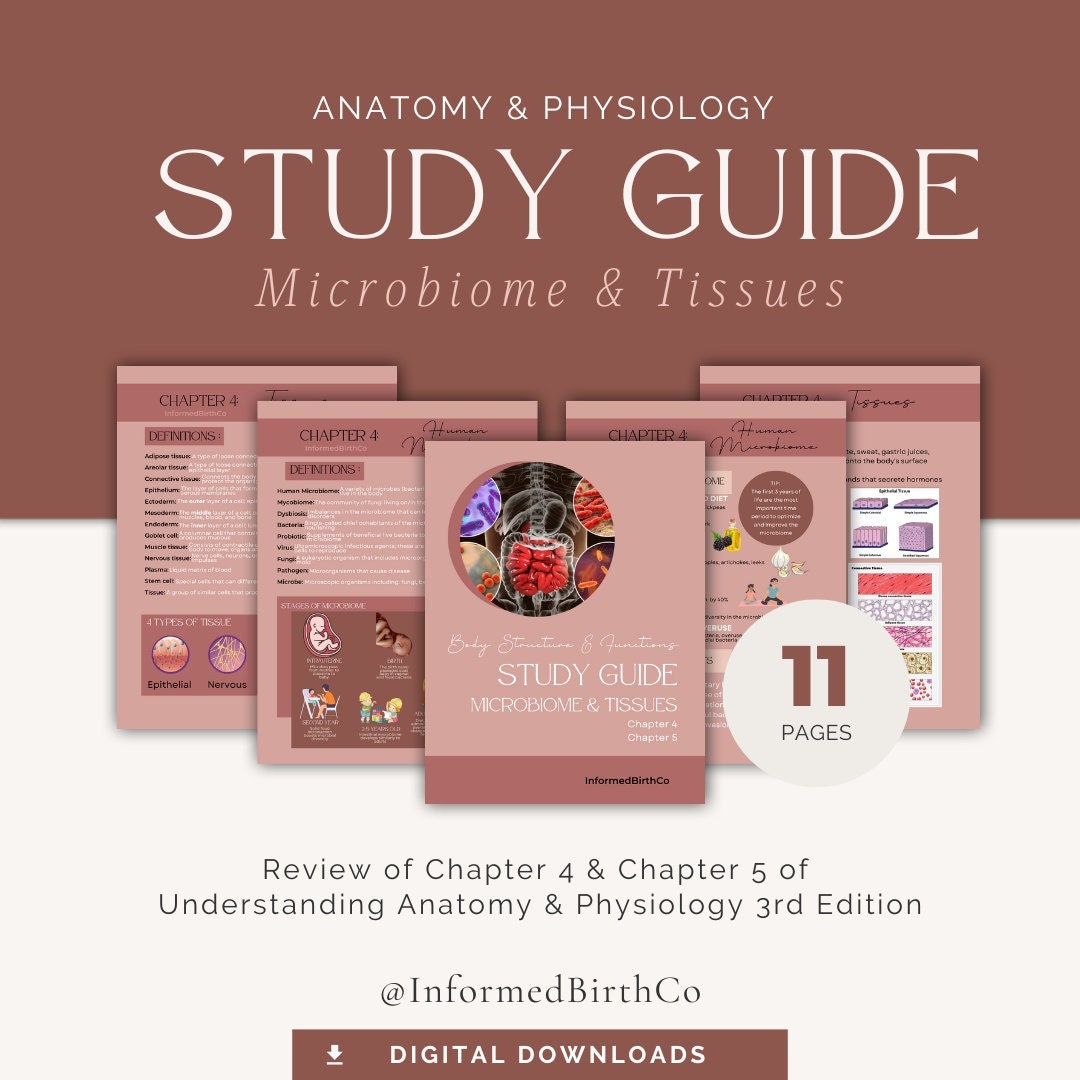 Anatomy & Physiology Microbiome and Tissues Study Guide - Etsy