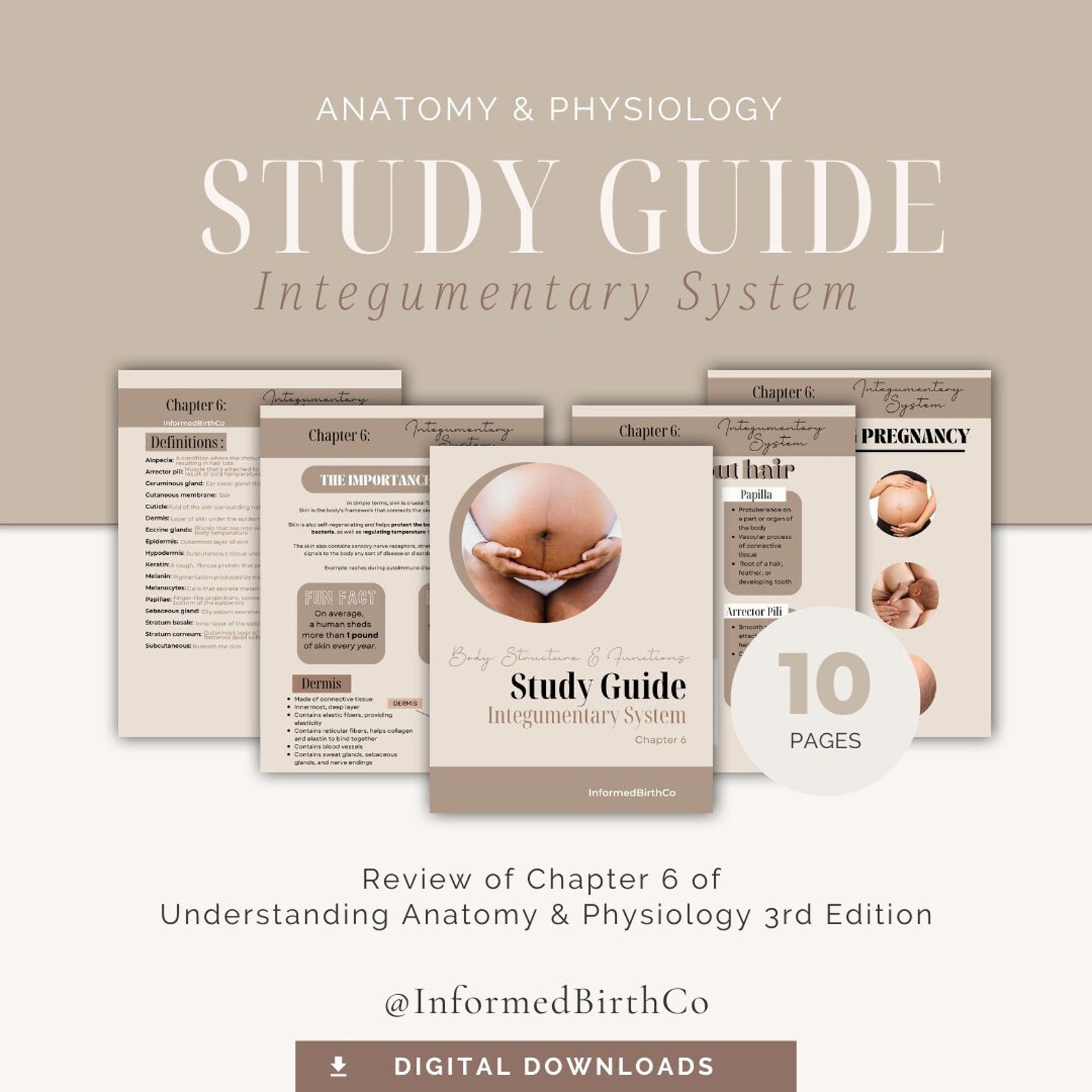 Anatomy & Physiology Integumentary System, Study Guide - Etsy