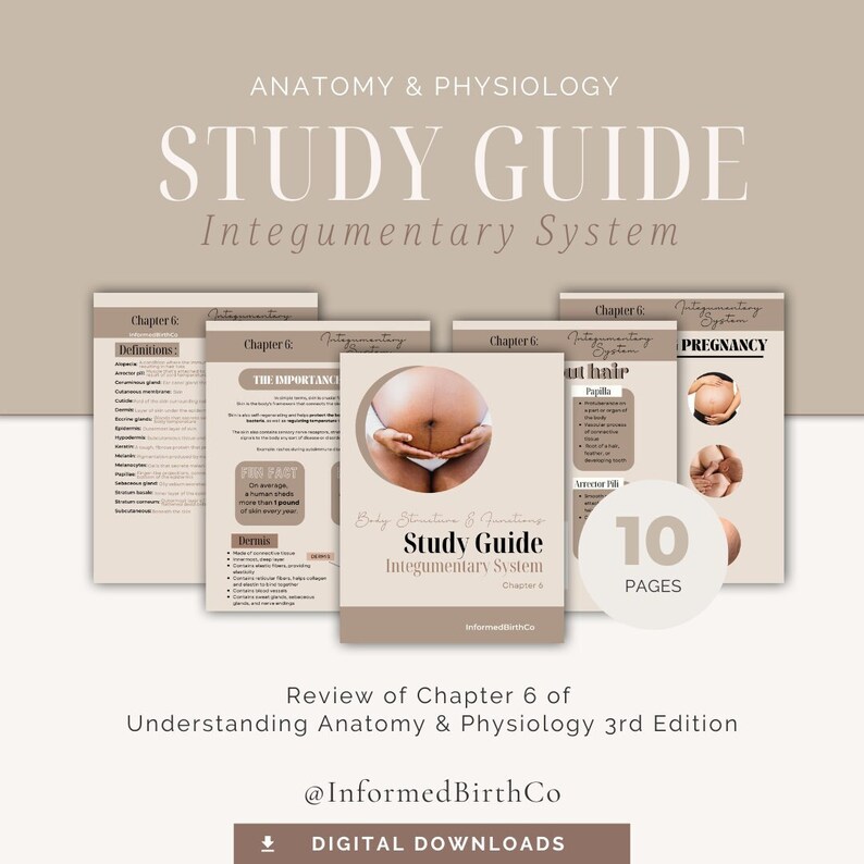 Anatomy & Physiology Integumentary System, Study Guide - Etsy