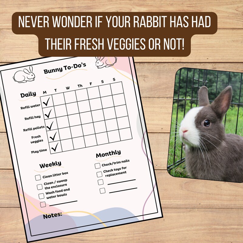 Bunny Pet List - Etsy