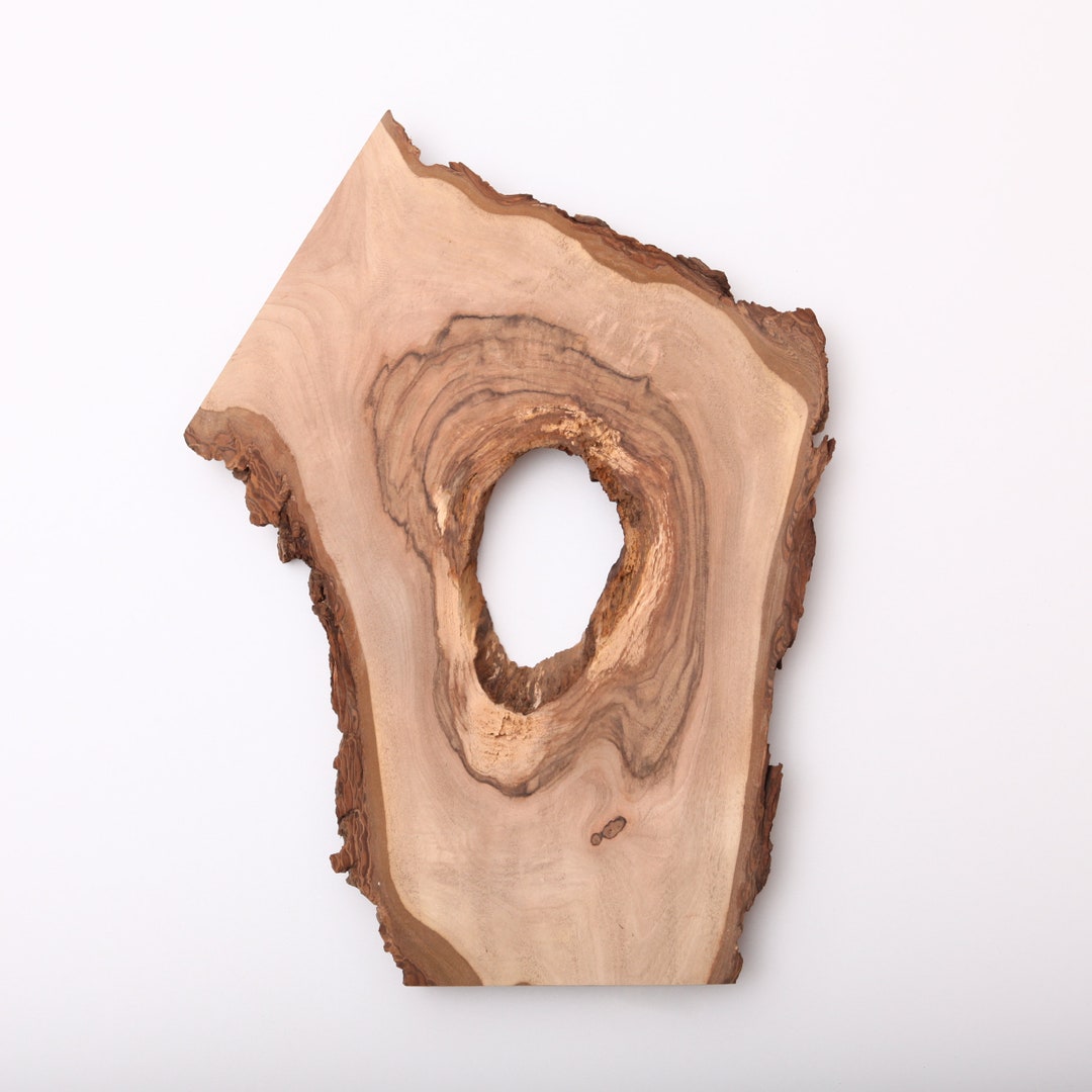 Raw Walnut Wood Slice - Etsy