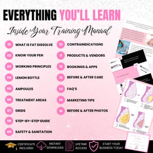 Fat Dissolve Training Manual | Lemon Bottle Hyaluron Pen Course ...