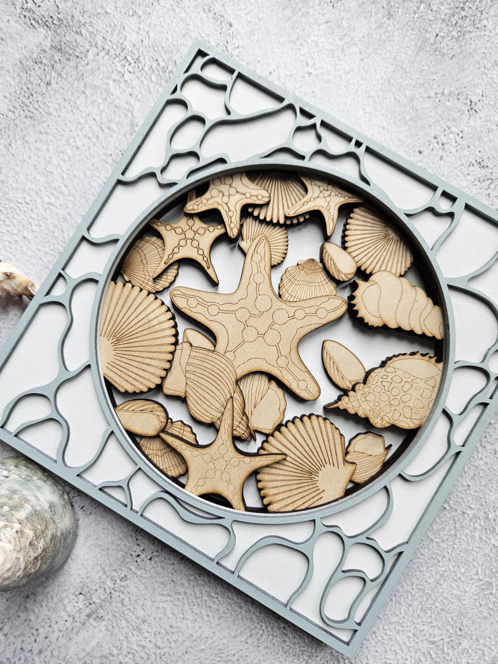 Seashell Shadow Box Svg | Seashell Layered Shadow Box Svg File - Laser ...