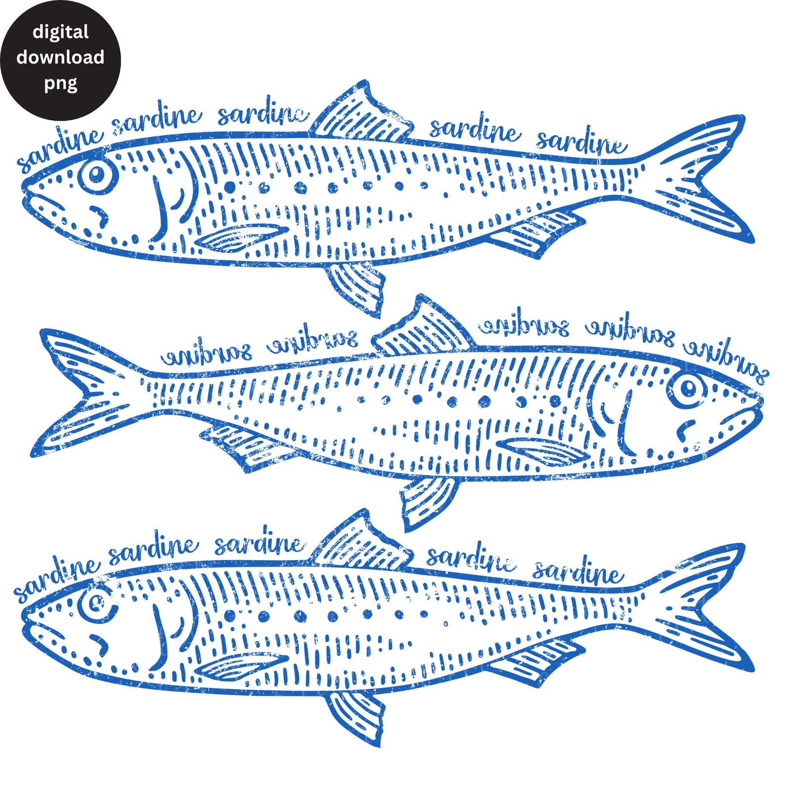 Trendy Sardine PNG, Three Sardines Sublimation Design, Fisherman ...