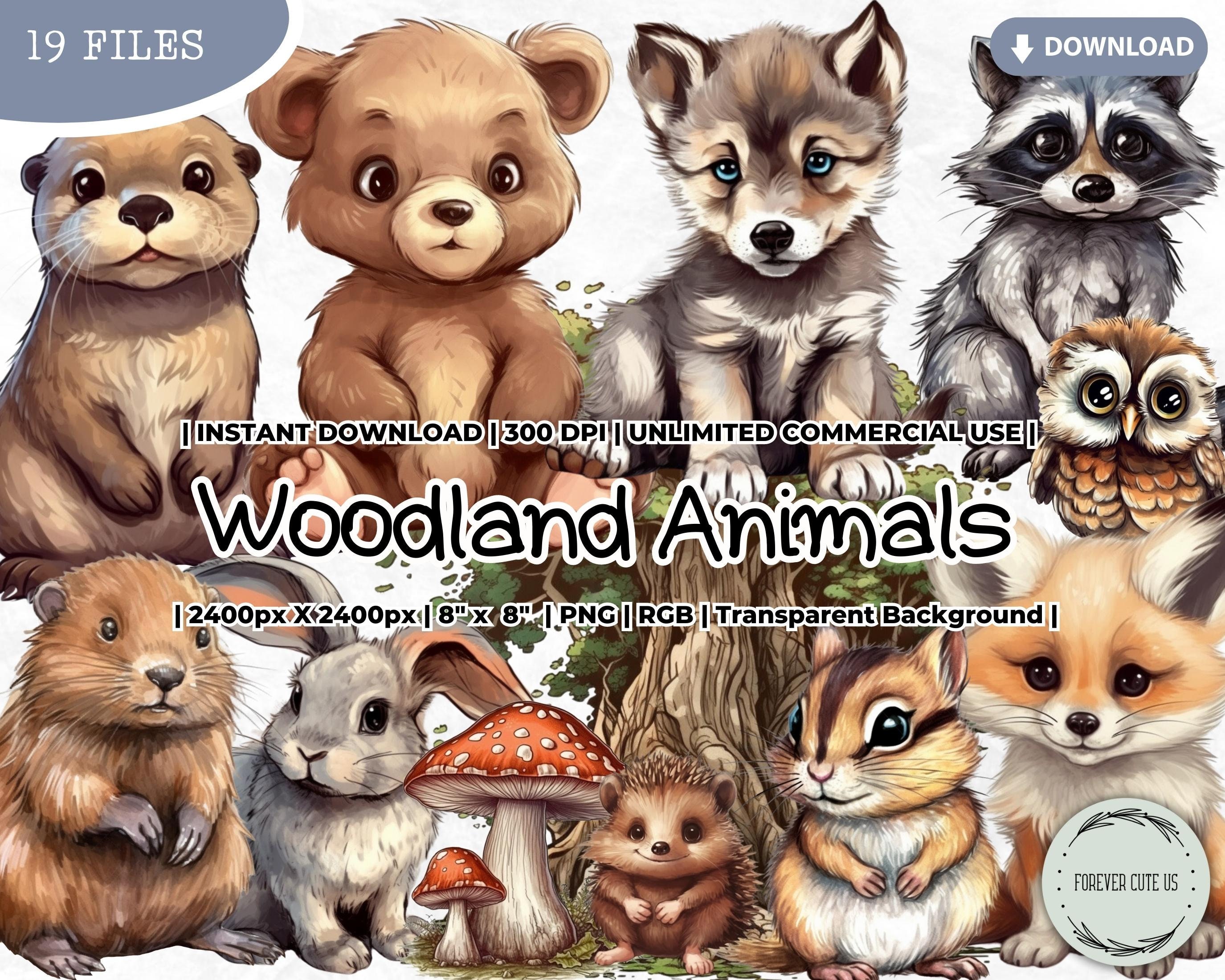 Woodland Animals Clipart Bundle Nursery Clipart Commercial - Etsy