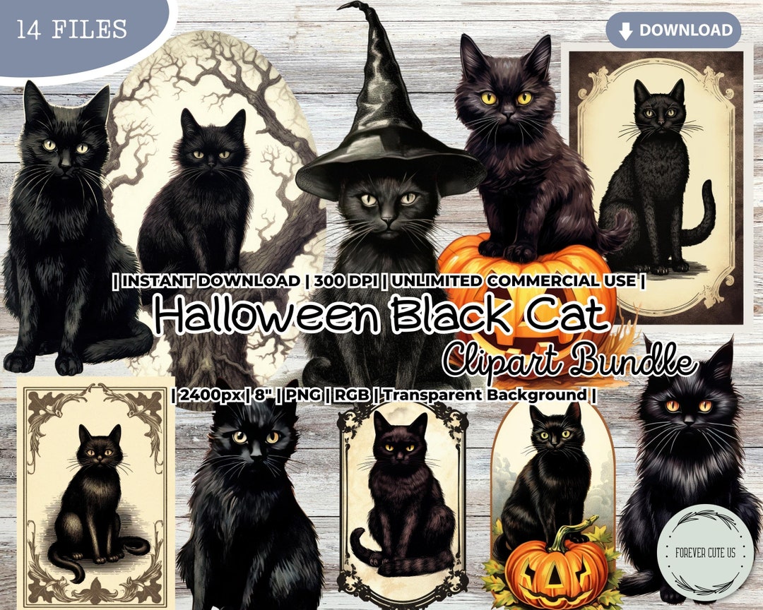 Halloween Black Cat Clipart Set, Witch, Pumpkin, Fall, Autumn, Vintage ...