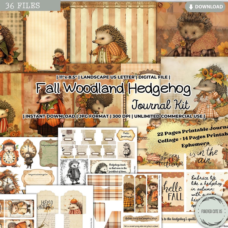 Hedgehog Journal - Etsy