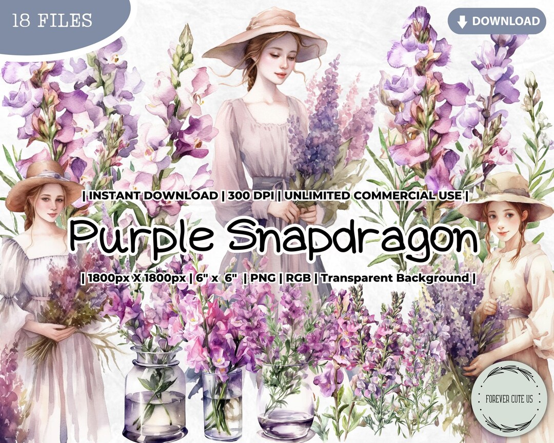 Purple Snapdragon Clipart, Dragon Flower, Lion's Mouth, Antirrhinum ...