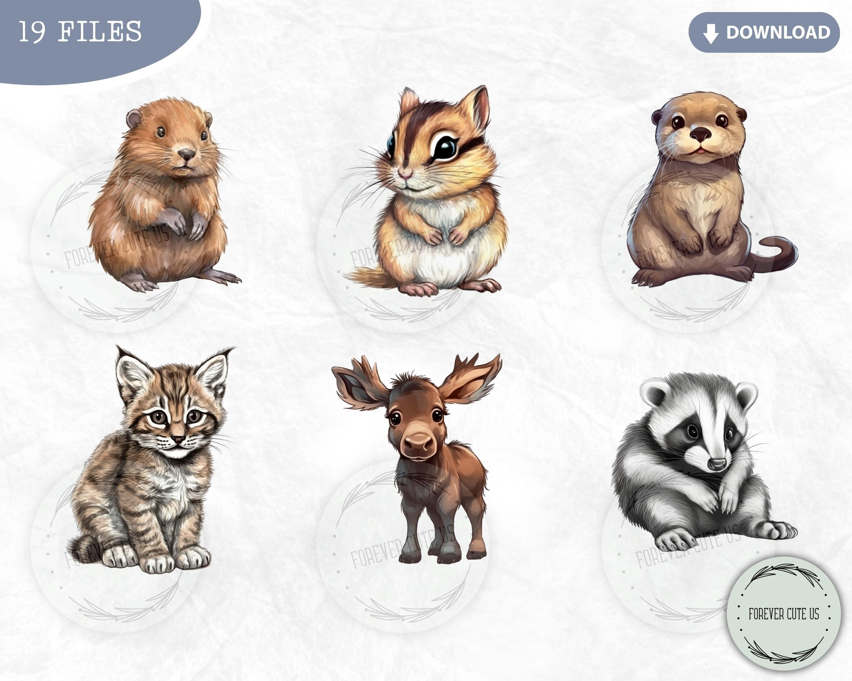 Woodland Animals Clipart Bundle Nursery Clipart Commercial - Etsy
