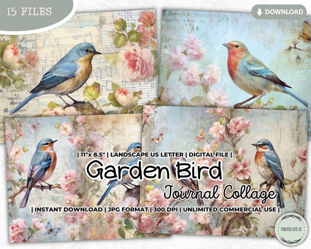 Garden Bird Junk Journal Collage Sheet, Ephemera, Label, Bird Ephemera ...