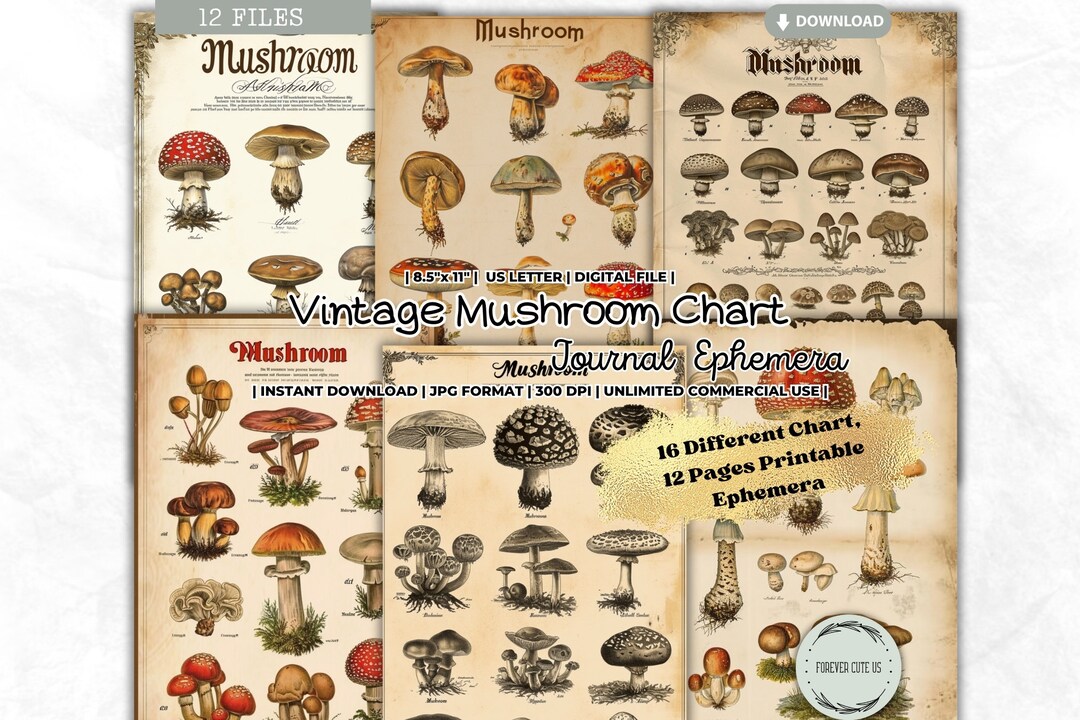 Vintage Mushroom Chart Ephemera, Vintage, Junk Journal, Poster, Print ...