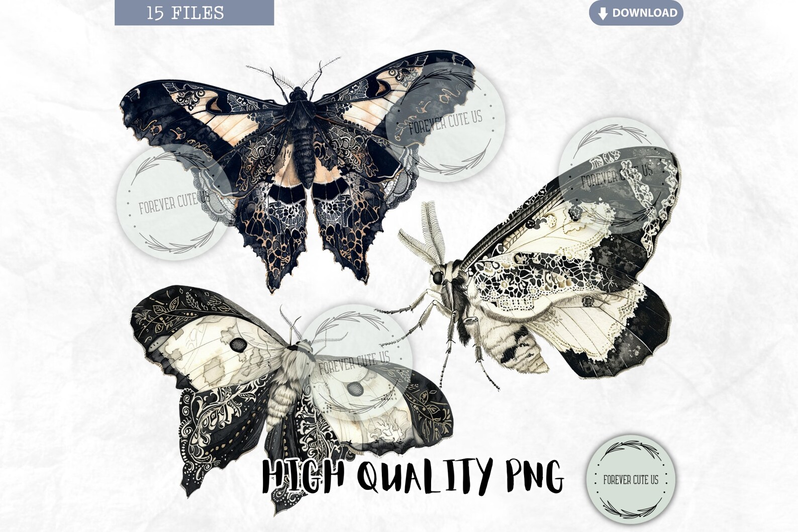 Gothic Moth Clipart, Watercolor, Black, Dark, Goth, Brooch, Lace ...