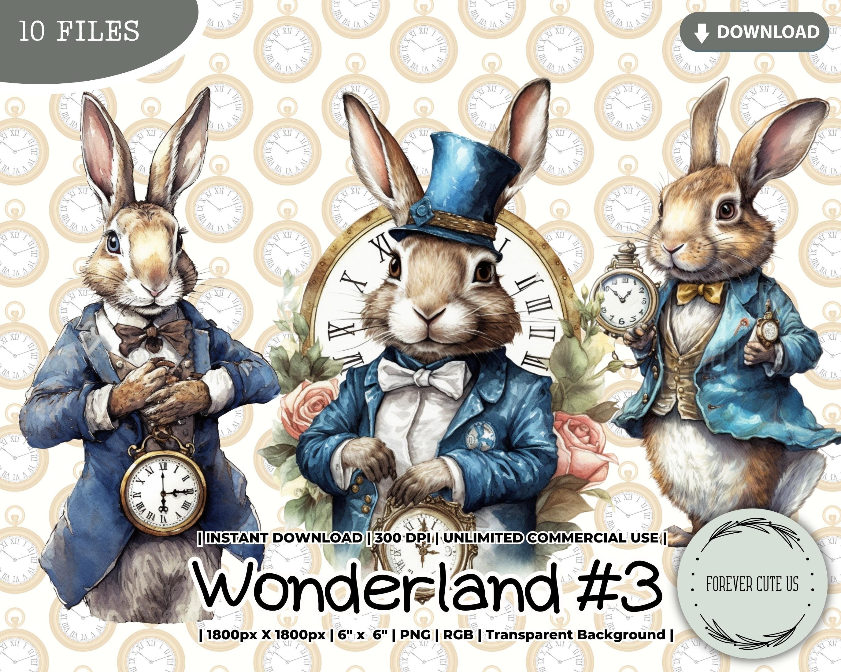 Wonderland Clipart Alice's Adventure Inspired White - Etsy