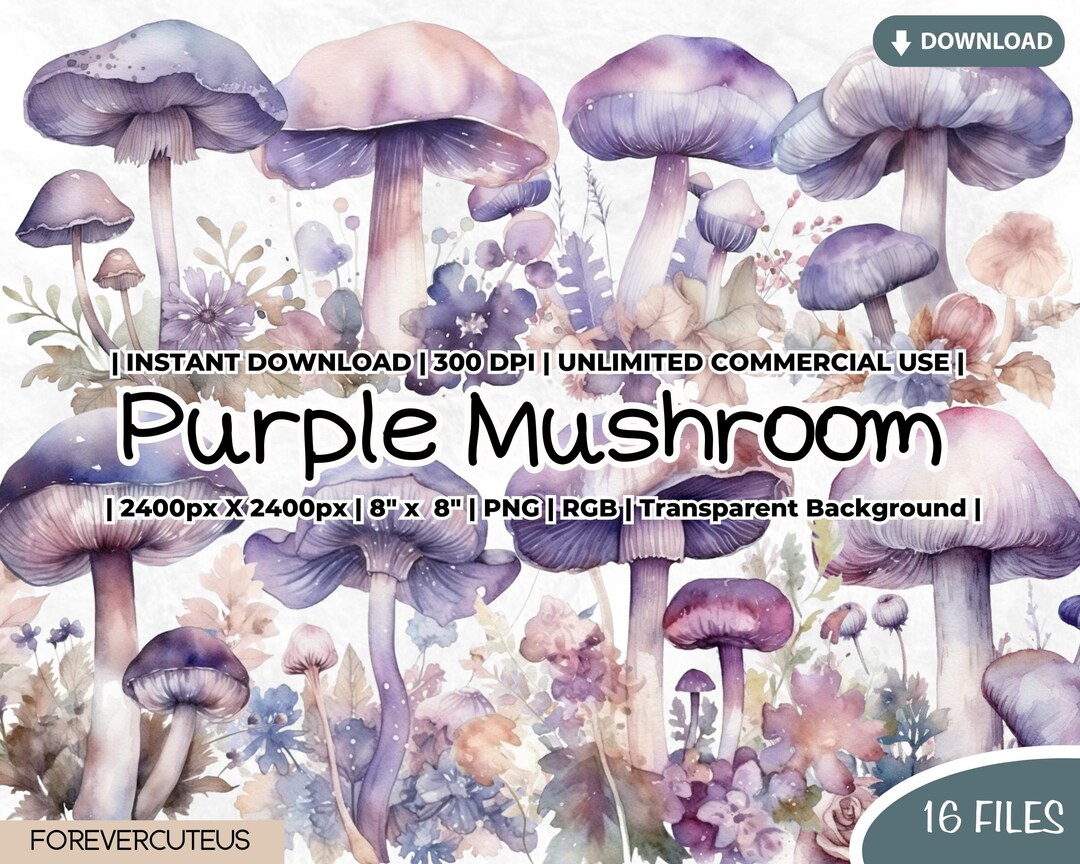 Purple Mushroom Clipart, Watercolor Mushrooms Clipart, Instant Download ...