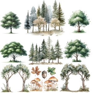 Watercolor Woodland Friends, Watercolor Clipart, Bunnies, PNG File ...