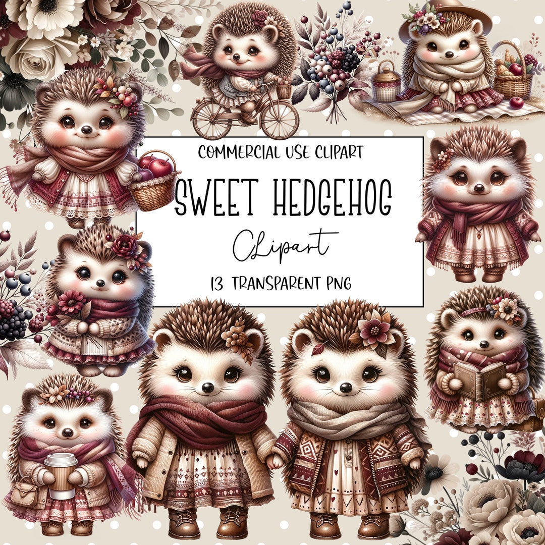 Sweet Hedgehog, Hedgehog Clipart, Hedgehog Png, Boho Clipart, PNG File ...