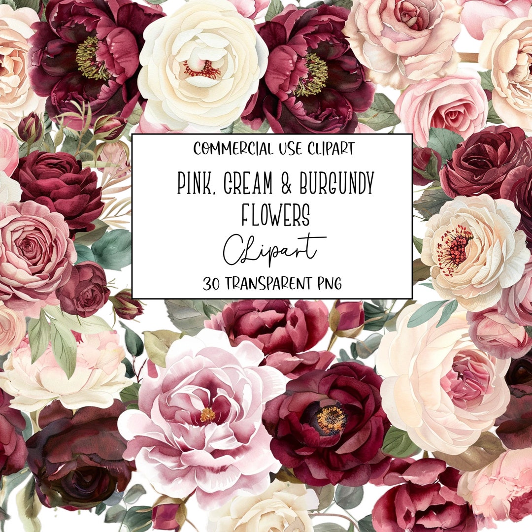 Cream Pink & Burgundy Flowers, Floral Clipart, Floral Png, Clipart ...