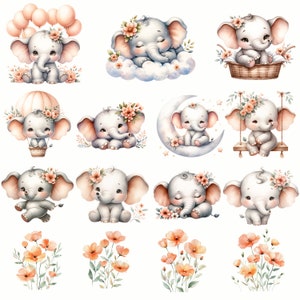 Sweet Peach Elephant, Cute Elephant Clipart, Elephant PNG, Baby Clipart ...