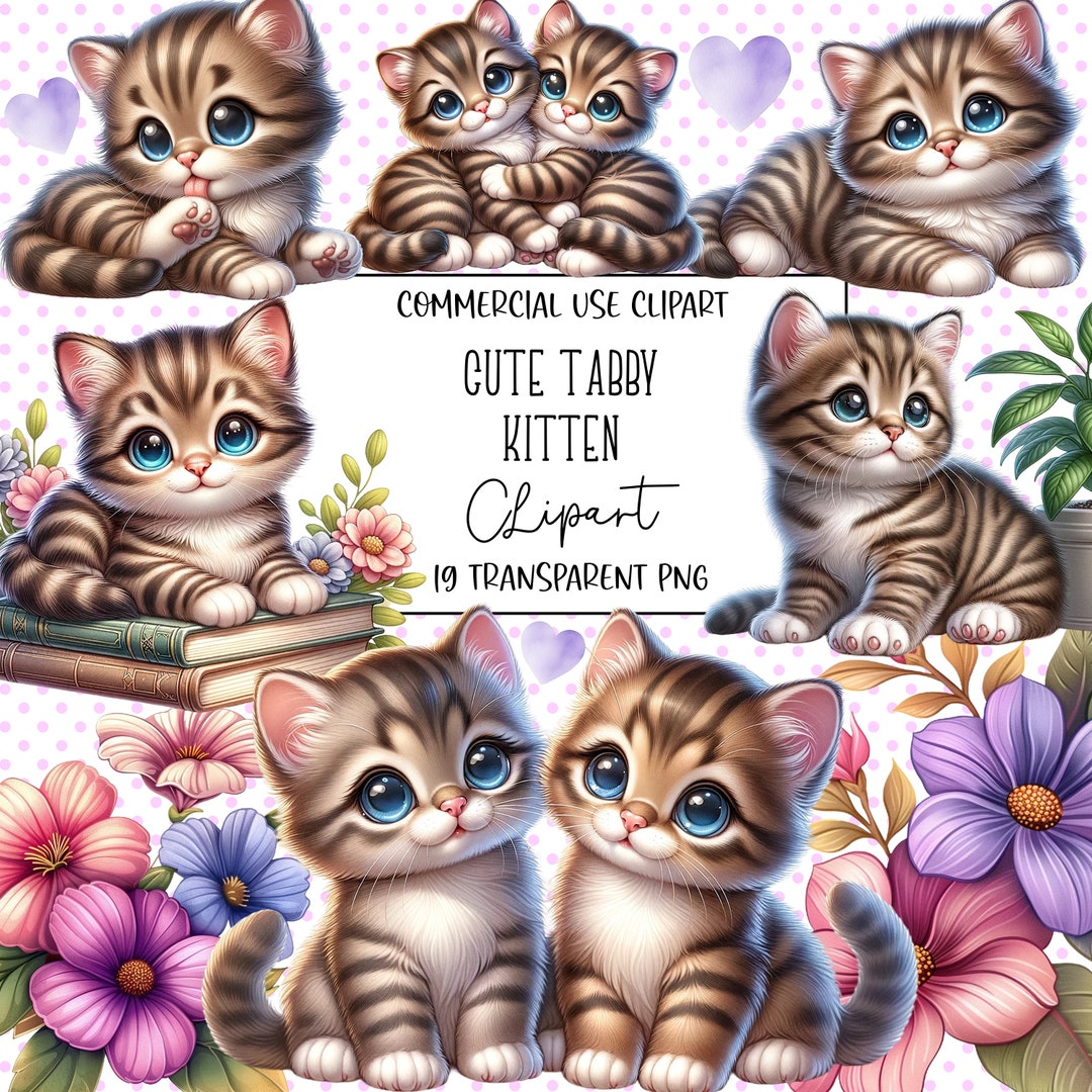 Tabby Kitten, Cat Clipart, Cute Cat Png, Kitten Clipart Bundle, Cute ...