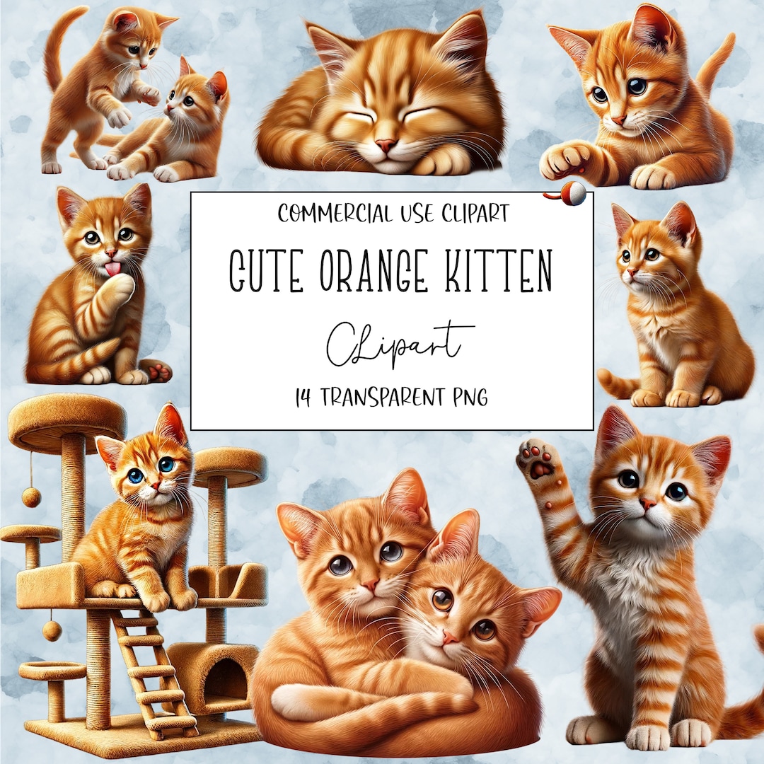 Orange Kitten, Ginger, Cat Clipart, Cat Png, Kitten Clipart Bundle ...