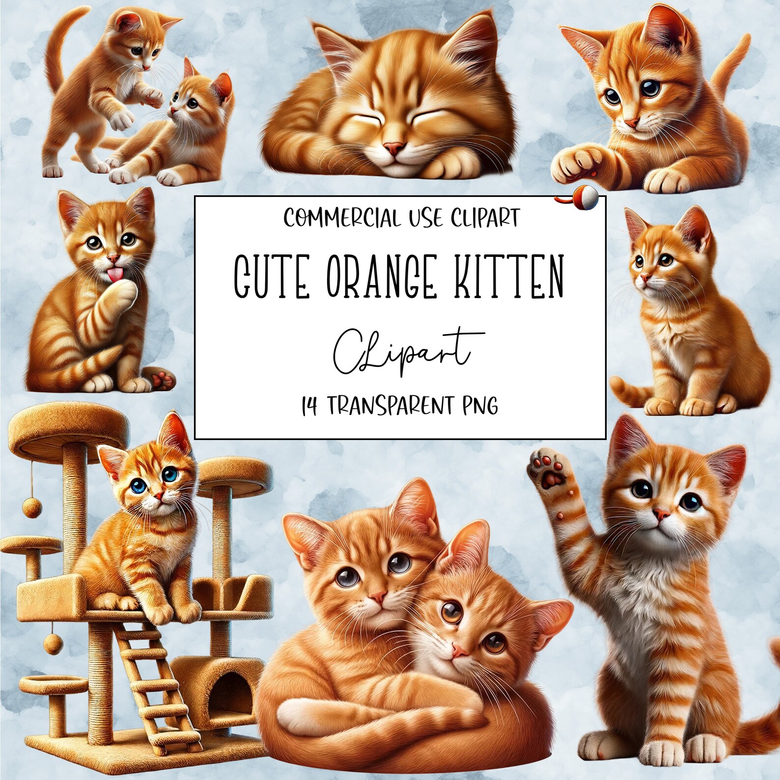 Orange Kitten, Ginger, Cat Clipart, Cat Png, Kitten Clipart Bundle, Animal Clipart, Cute Animals ...