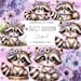 Sweet Raccoon, Raccoon Clipart Bundle, Cute Raccoon Png, Watercolor ...