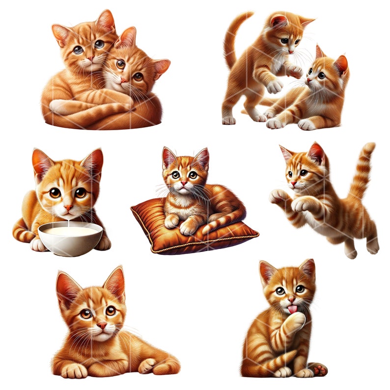 Orange Kitten, Ginger, Cat Clipart, Cat Png, Kitten Clipart Bundle ...