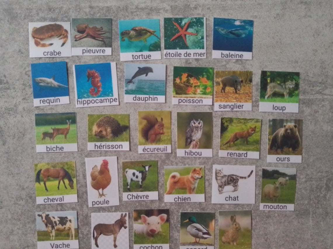 Pictogramme nomenclature animaux pecs Montessori autisme autiste non ...