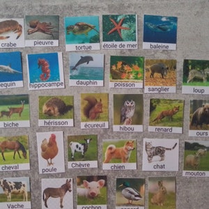 Pictogramme nomenclature animaux pecs Montessori autisme autiste non ...