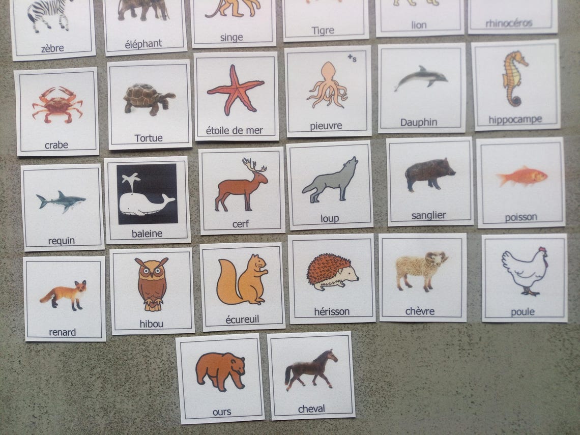 Pictogramme nomenclature animaux pecs Montessori autisme autiste non ...