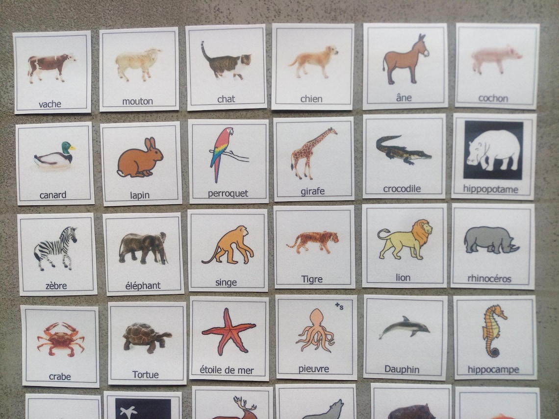 Pictogramme nomenclature animaux pecs Montessori autisme autiste non ...