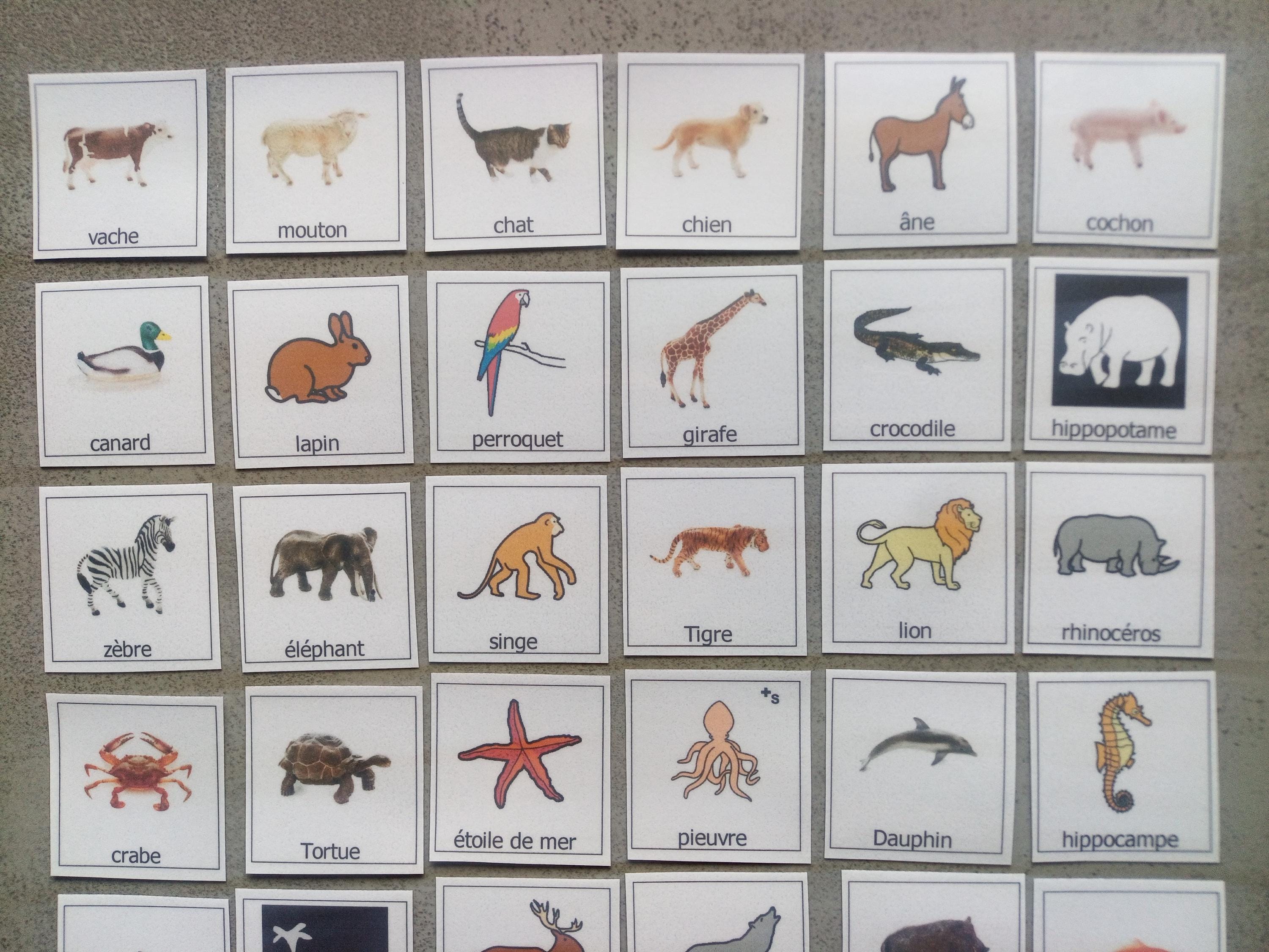 Pictogramme nomenclature animaux pecs Montessori autisme autiste non ...